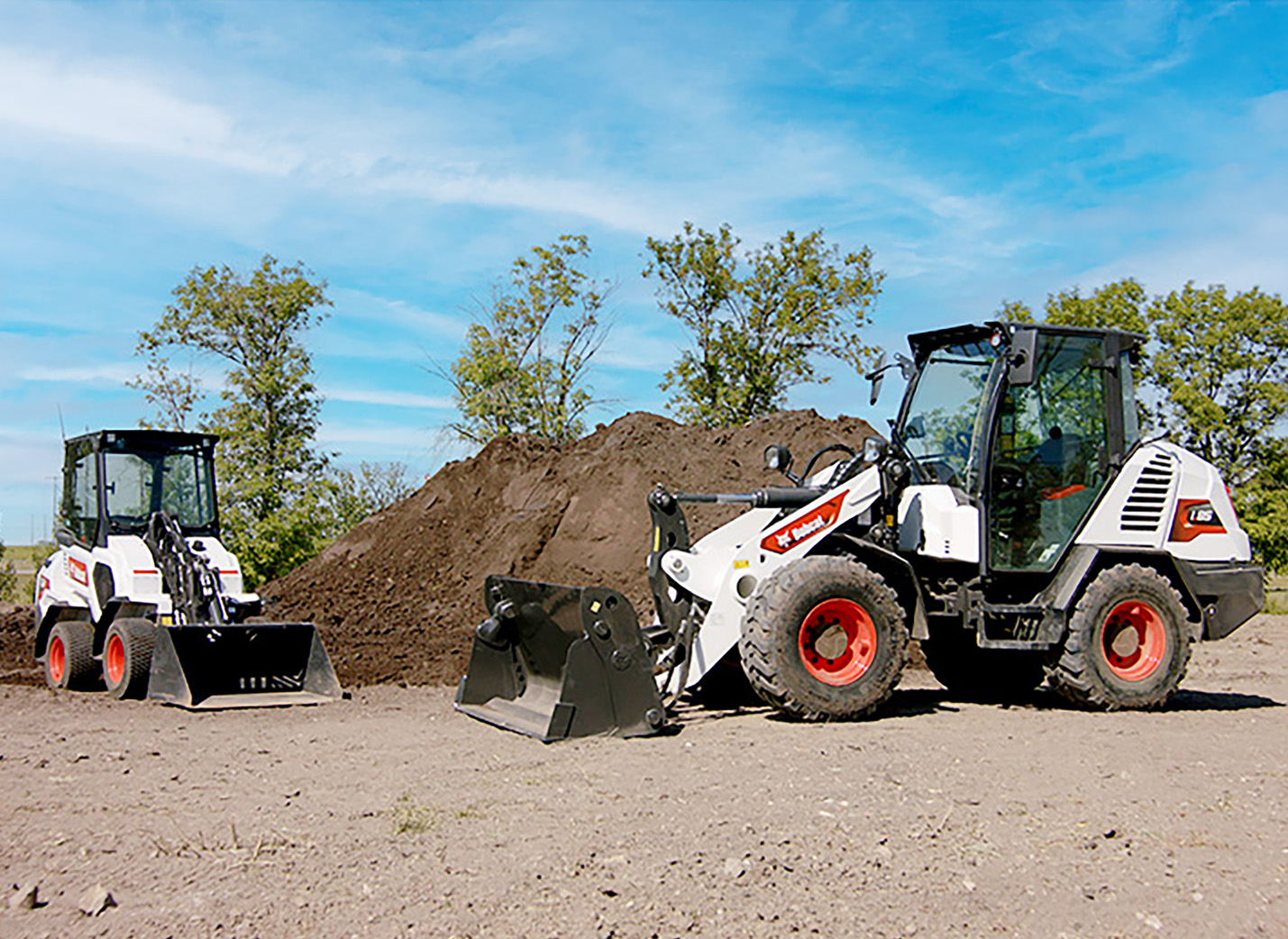 Bobcat Online Training